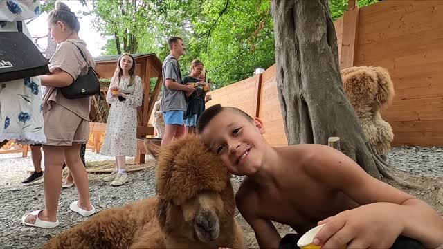 #40 АЛЬПАКИ, КРОЛИКИ, АТТРАКЦИОНЫ! Анжелик@ Путешественница