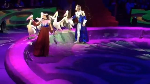 2018.04.21_Цирк на проспекте Вернадского, Царевна Несмеяна_18