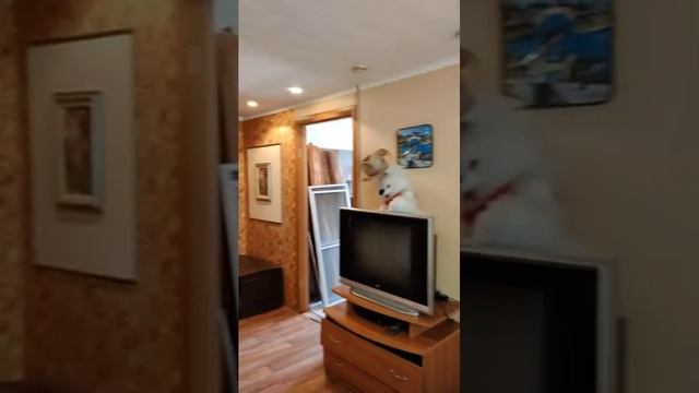 Продажа Дома и Зем. уч.| Сельская ипотека от 3% | Марий Эл | Сенькино | #Школьная_15 | #ccn24ru