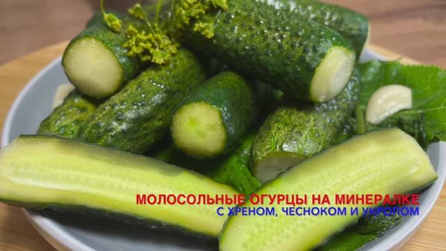 Малосольные огурцы на минералке с хреном, чесноком и укропом | Малосольные огурцы | Рецепты просто