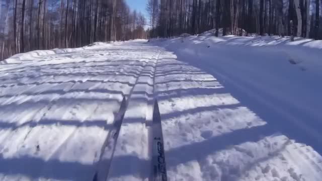 На беговушках