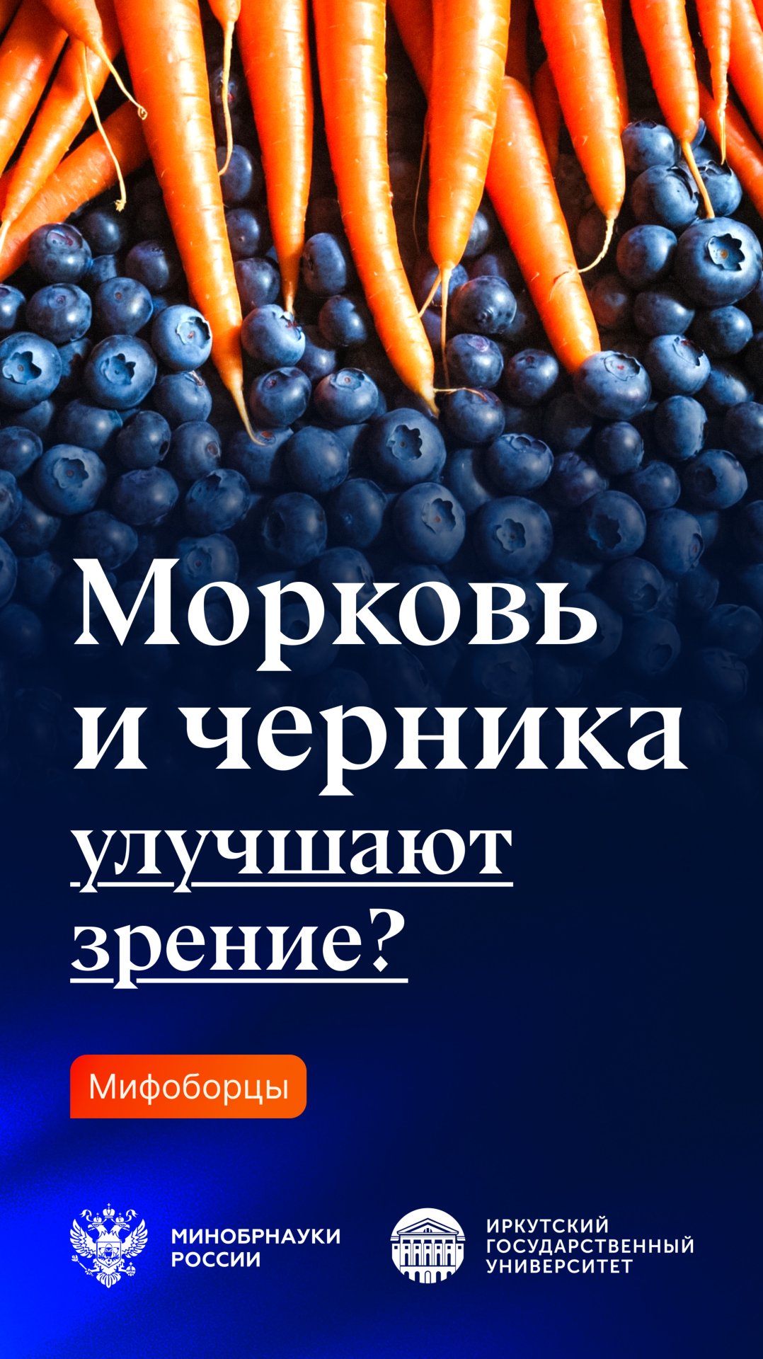 Черника и морковь улучшают зрение?