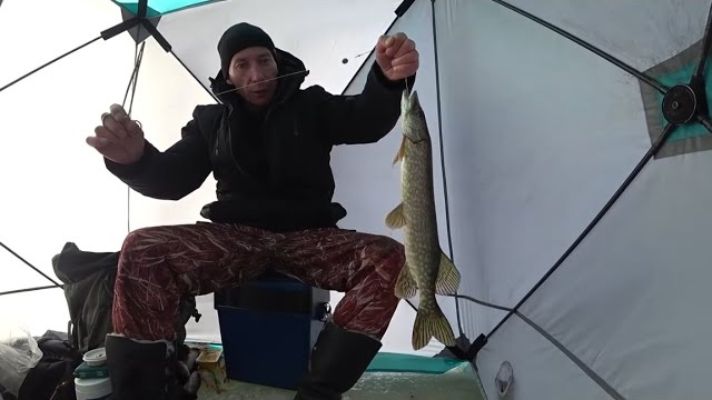 Зимняя рыбалка на щуку и окуня.