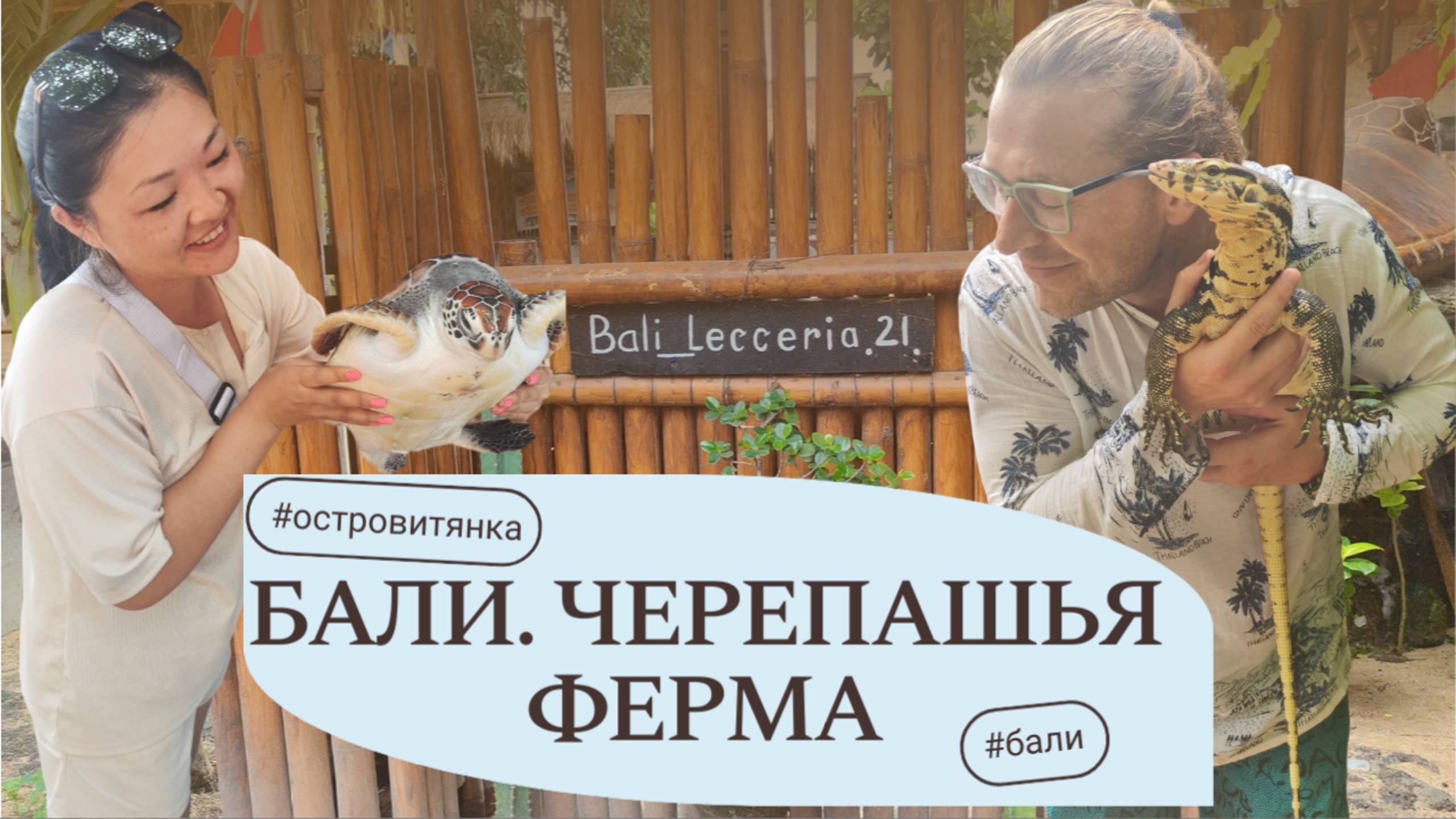 Что посмотреть на Бали. Обзор черепашьей фермы с бесплатным входом. Местная кухня Бали