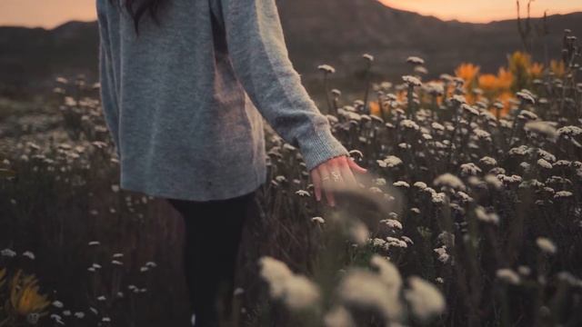 'Volkslied' 'Солнце'