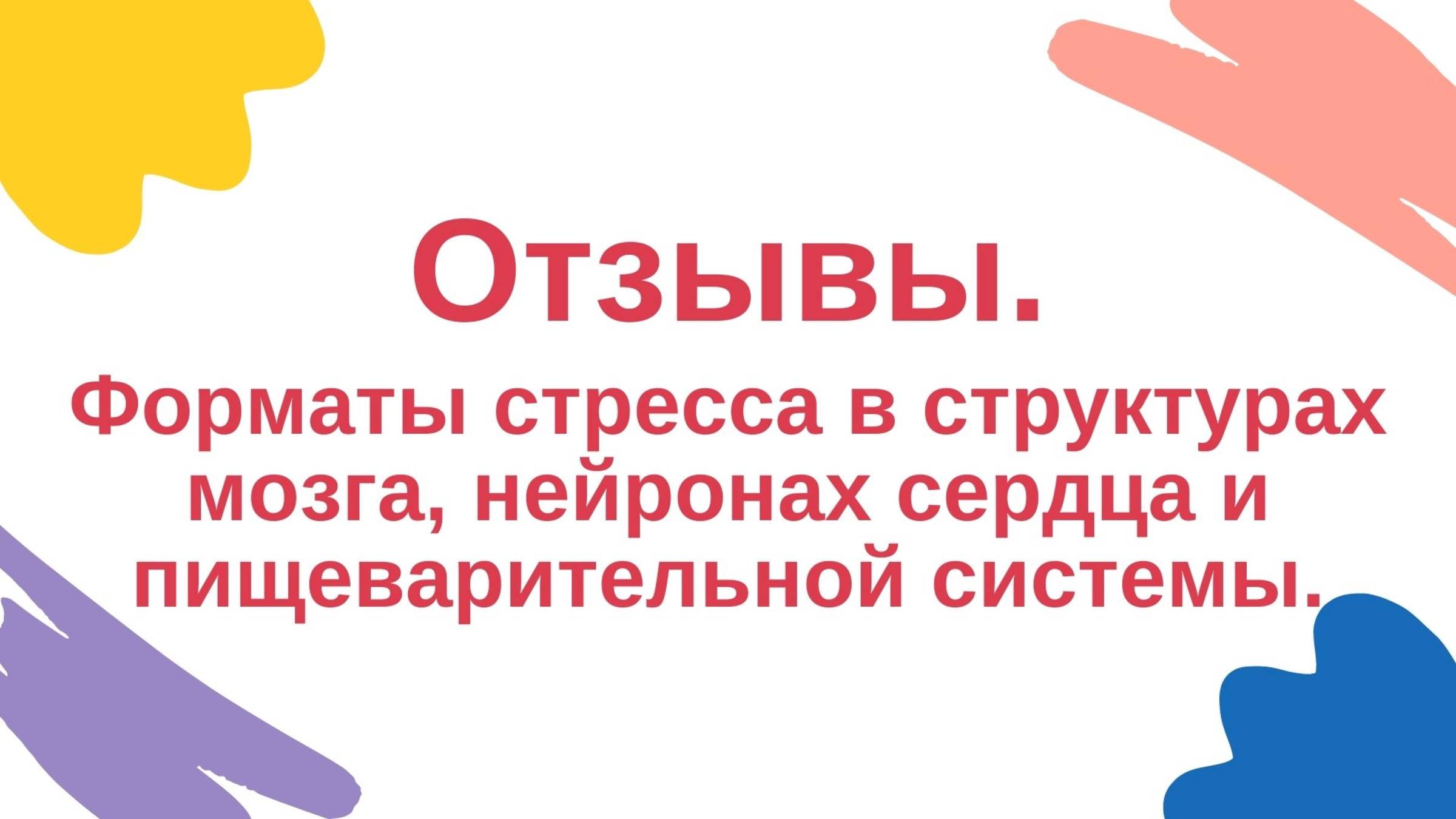 Форматы мозга. Отзывы.