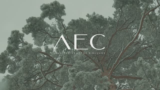 Ход строительства | wellness-квартал ЛЕC | ноябрь | 2024