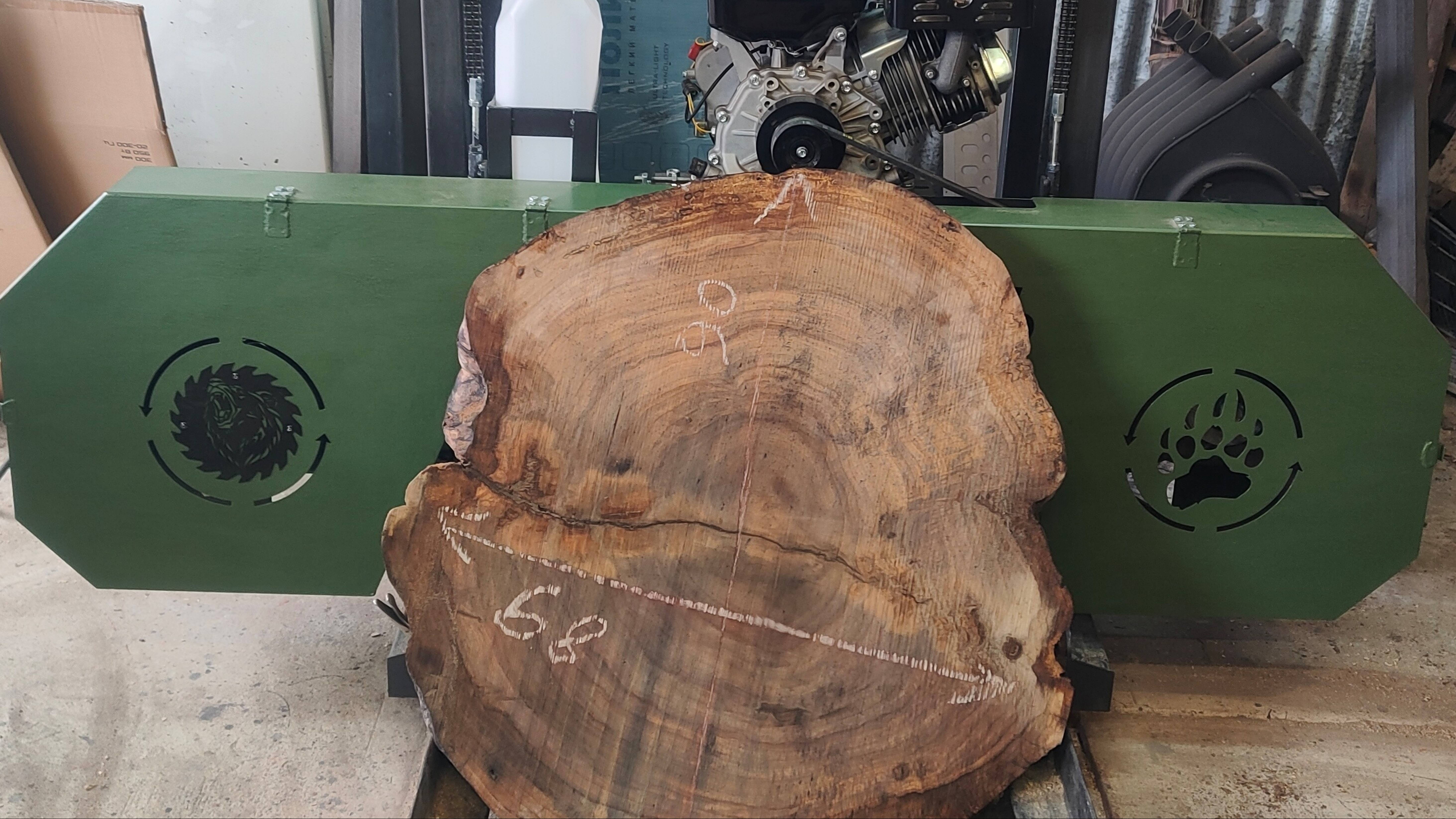 Сувель дуба после распиловки на ленточной пилораме .