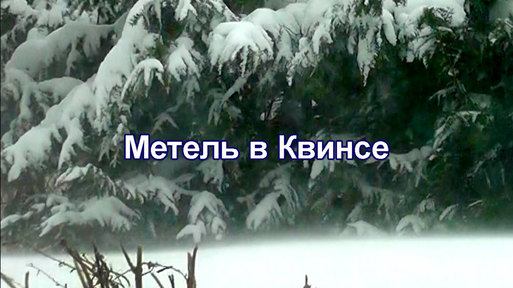 Метель в Квинсе