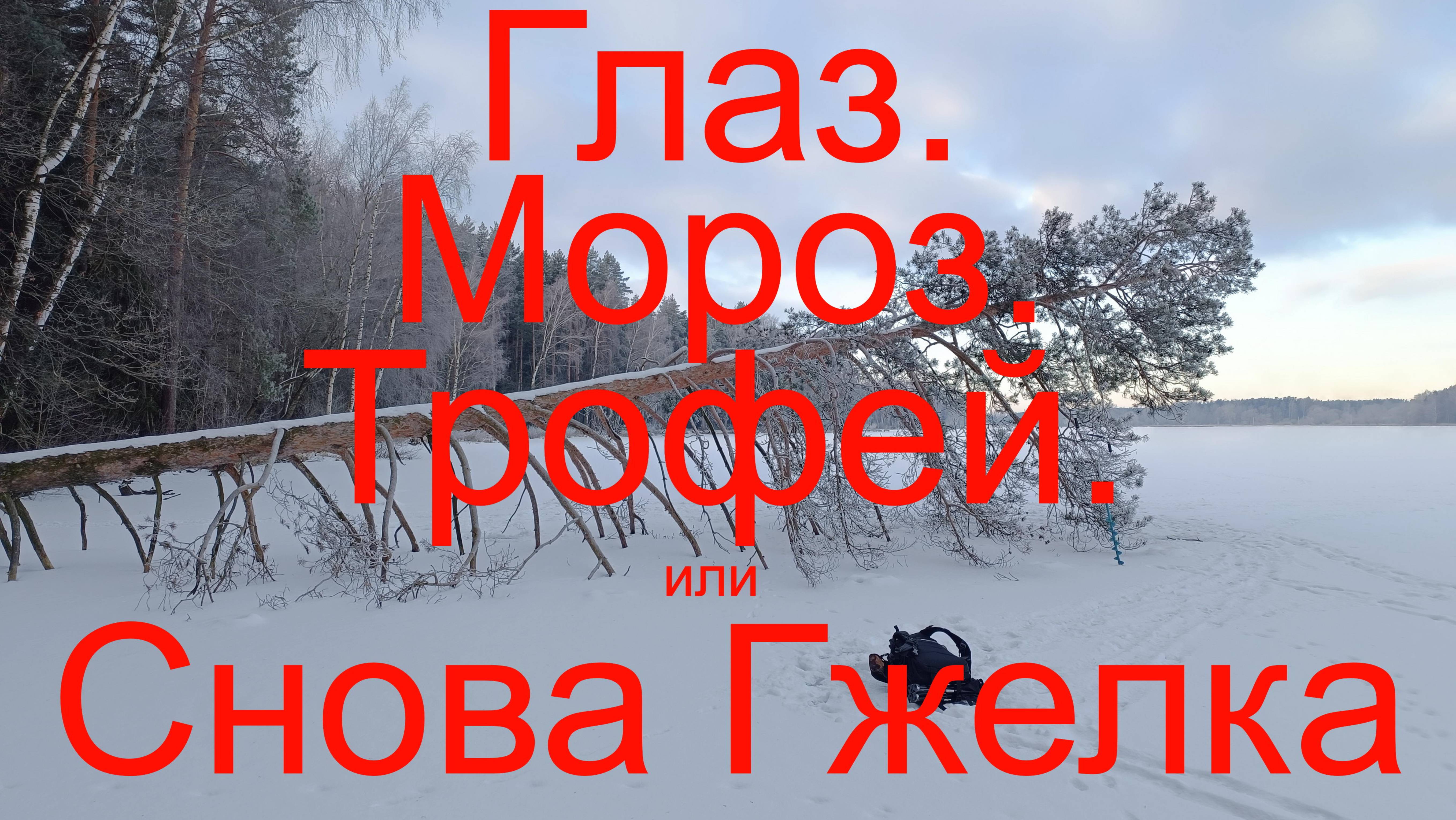 Глаз. Мороз. Трофей или Снова Гжелка.  23.02.2025. Рыбхоз Гжелка. пруд Нагульный 1.