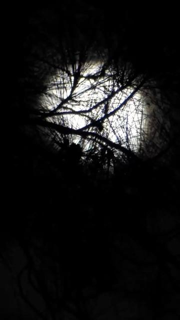 🔥 Тёмные Дали | Путь через Тьму к Свету 🌑➡️🌅 | TuneSmith