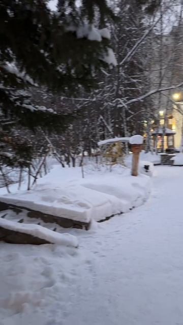 Белокуриха -⛰️ раскрывает свою красоту в смене времен года.