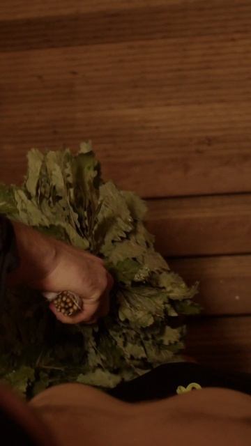 Чем парение с Sangens Series L отличается от парения с обычными печами?