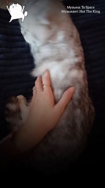 Кошечка Буся