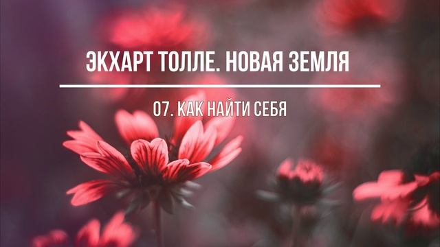 НОВАЯ ЗЕМЛЯ. Экхарт Толле. Часть 7. Аудиокнига