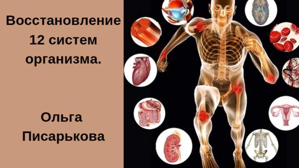 Восстановление костной, суставной и хрящевой ткани. Ольга Писарькова