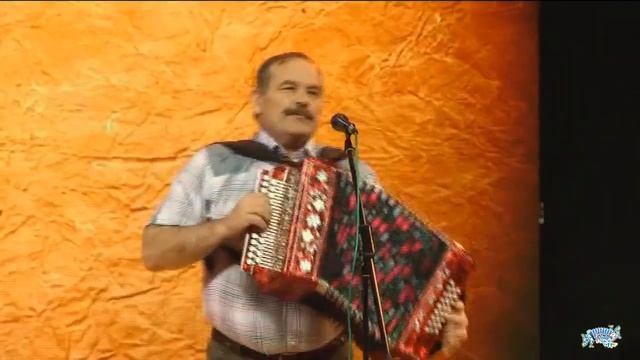 Частушки улетные. Владимир Егошин. Супер! #подгармонь