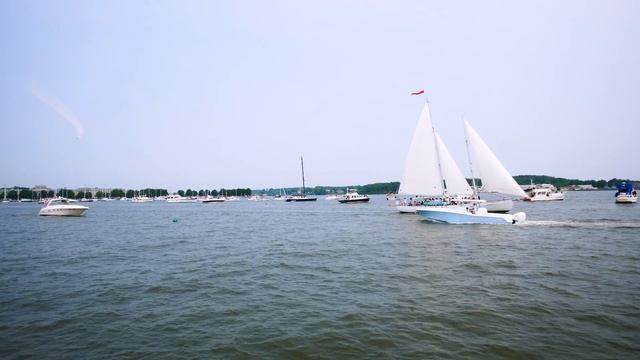 Bigger Gun..MUCH Better Results!! (MJ Sailing - Ep 289)