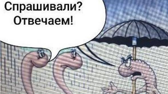 Что увидят-то и напишут наши внуки. своим прадедам, воинам Великой Отечественной войны.