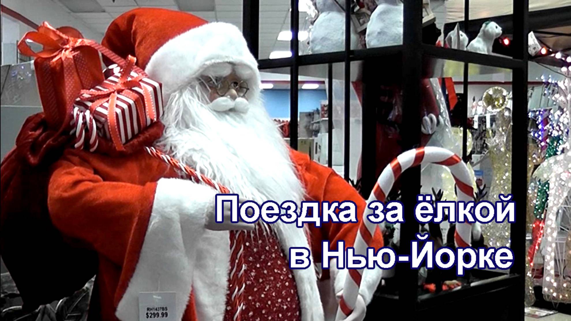 Поездка за ёлкой в Нью-Йорке