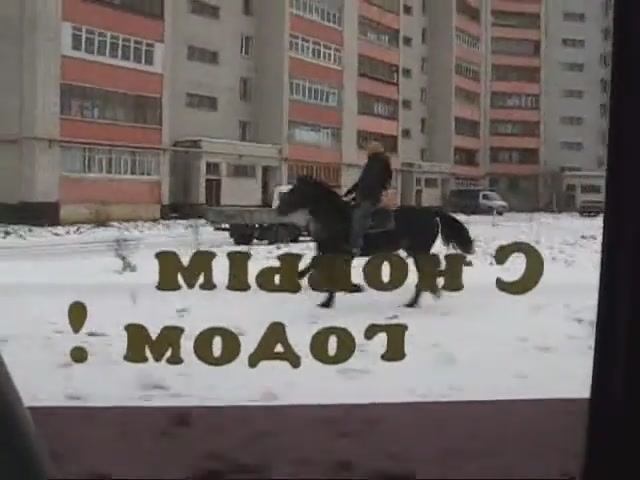 Вид из троллейбуса . г. Вологда