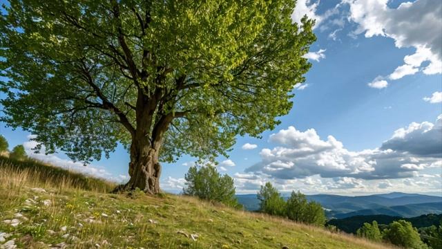 Александр Нужный - Холмик (slow)