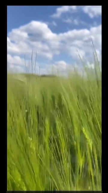 Диана Ли: АГРО — выбор сердца