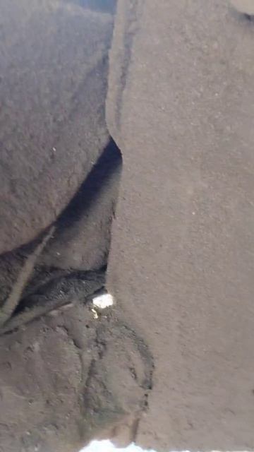 Foton AUMAN ESTa BJ4189 Не работают задние фонари.