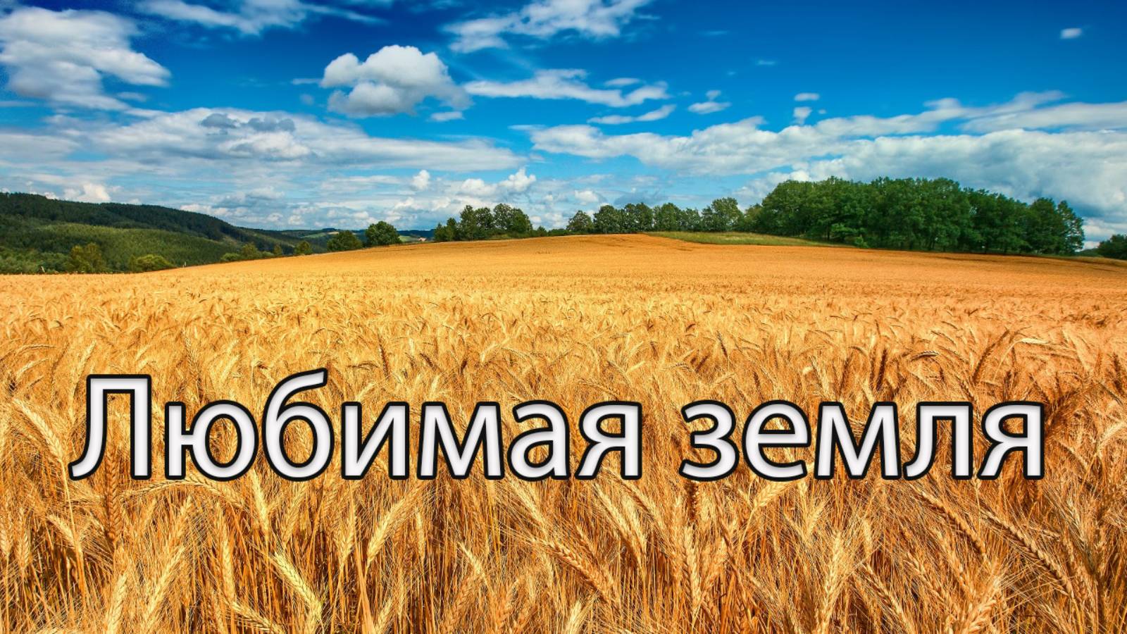 Любимая земля / Песня