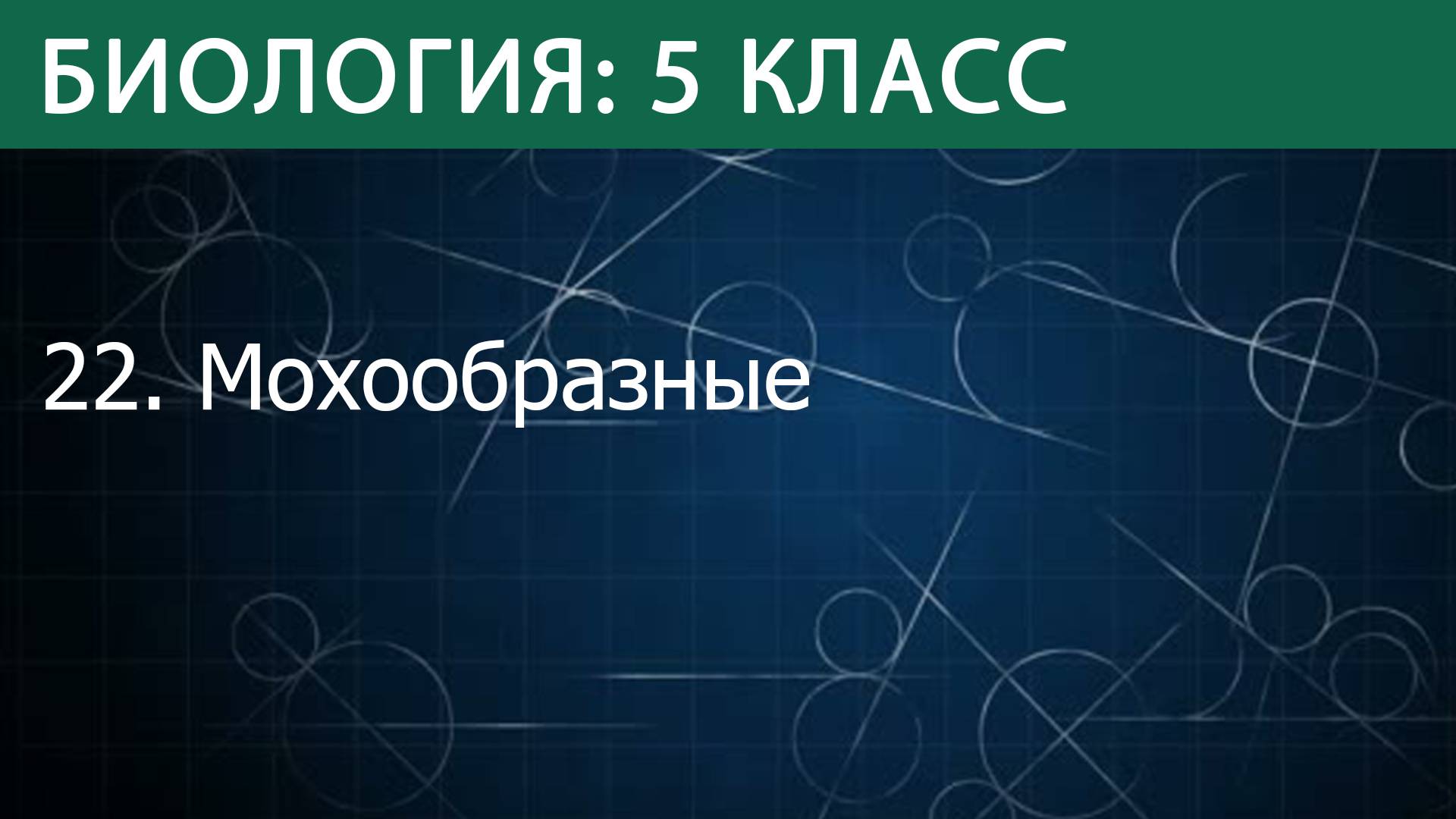 Биология 5 класс: Мохообразные