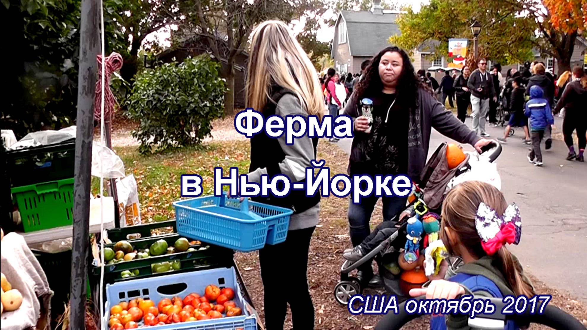 Ферма в Нью-Йорке