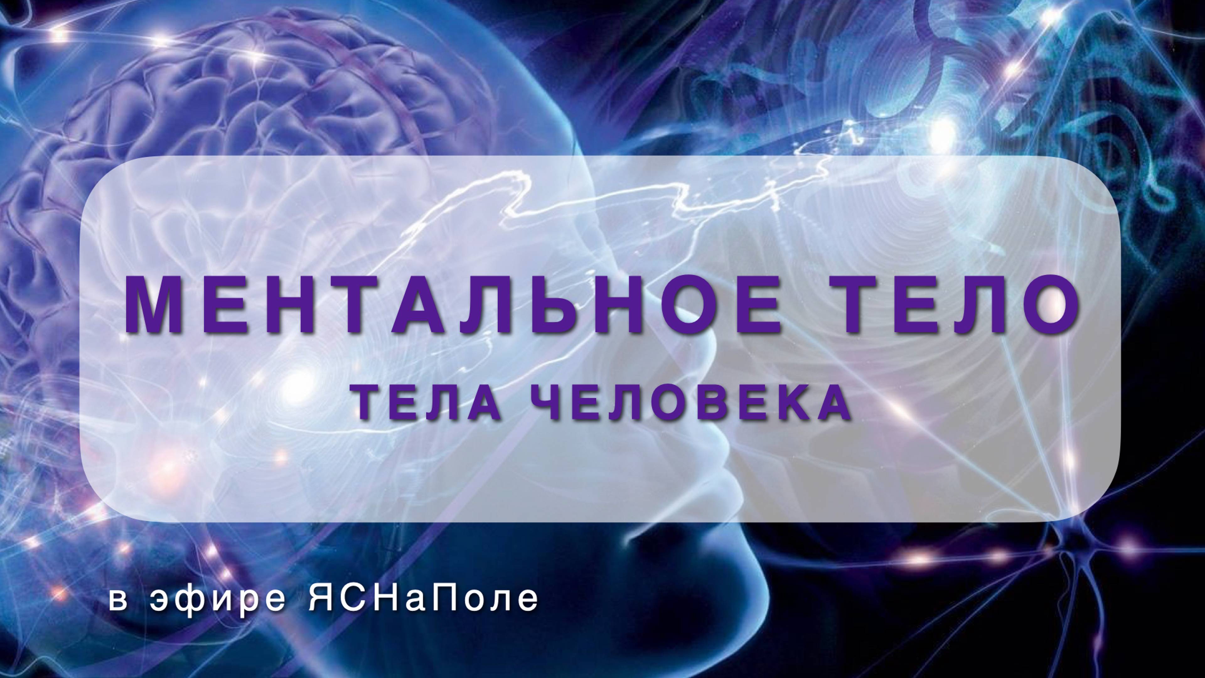 Тело человека. Ментальная оболочка
