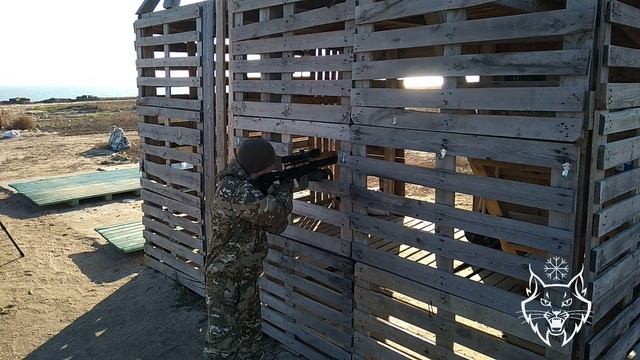 Стрельба из глубины здания