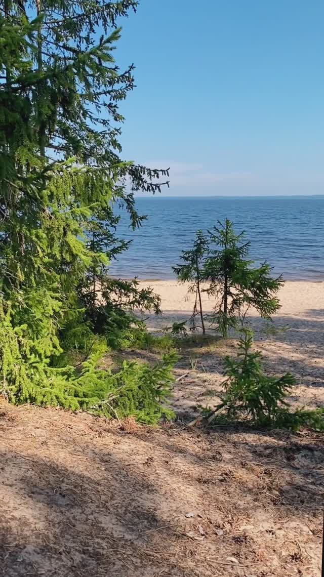 Летние воспоминания