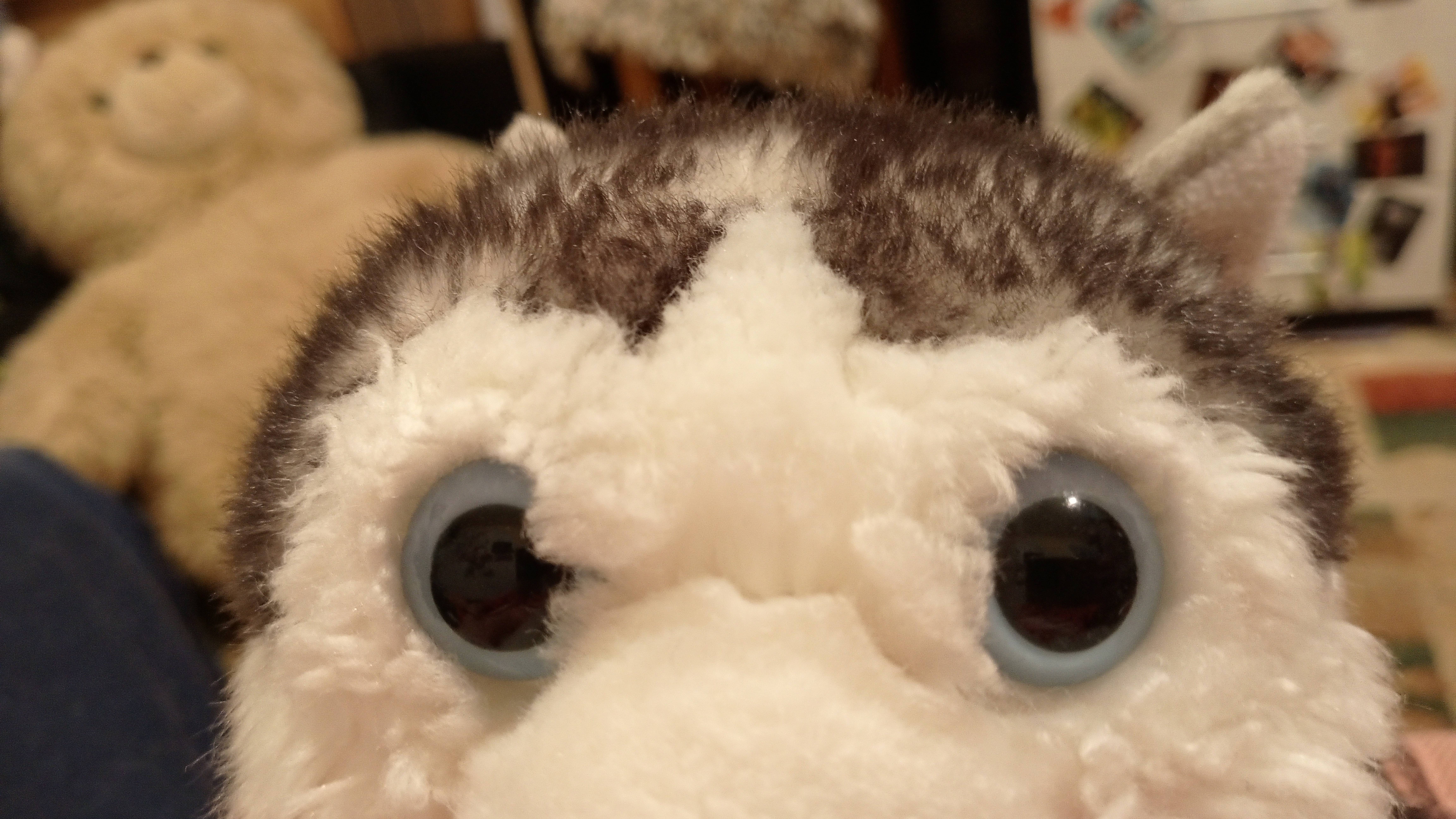 Обзор игрушек Ксюши