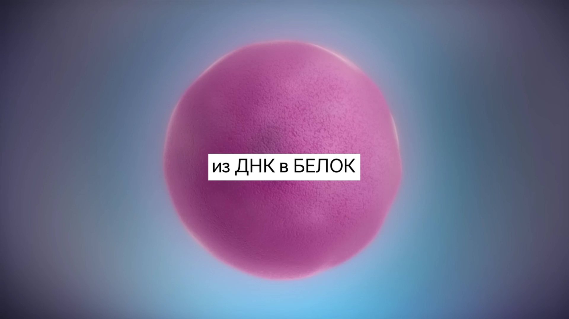 Как легко выучить Биосинтез белка? Посмотреть Из ДНК в БЕЛОК