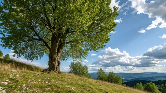 Александр Нужный - Холмик