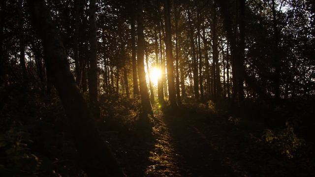 'Древлегорск' 'Святица' 'К тебе' 'Жизнь в её глазах'