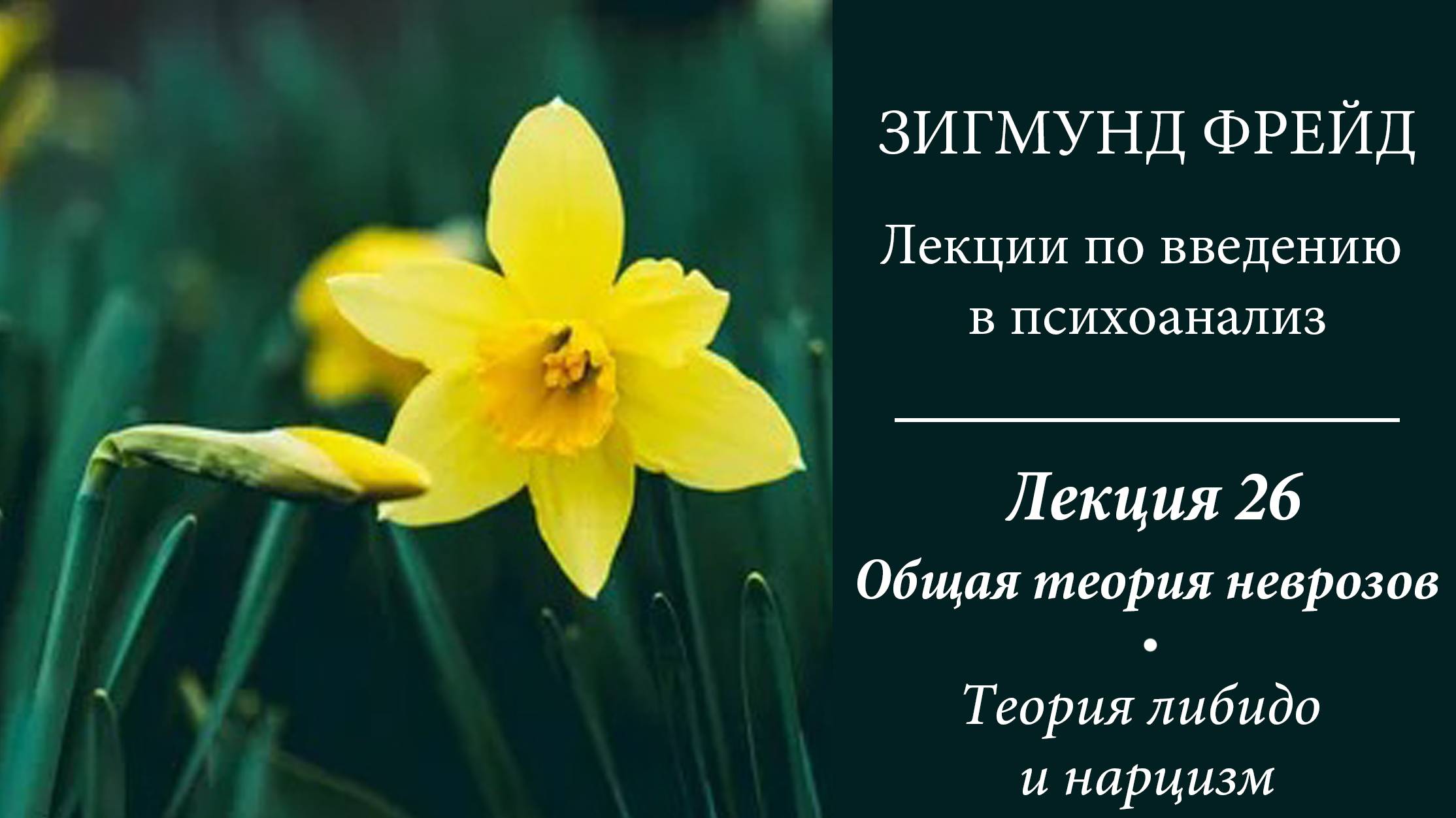 Зигмунд Фрейд, Лекции по введению в психоанализ. 26. Теория либидо и нарцизм