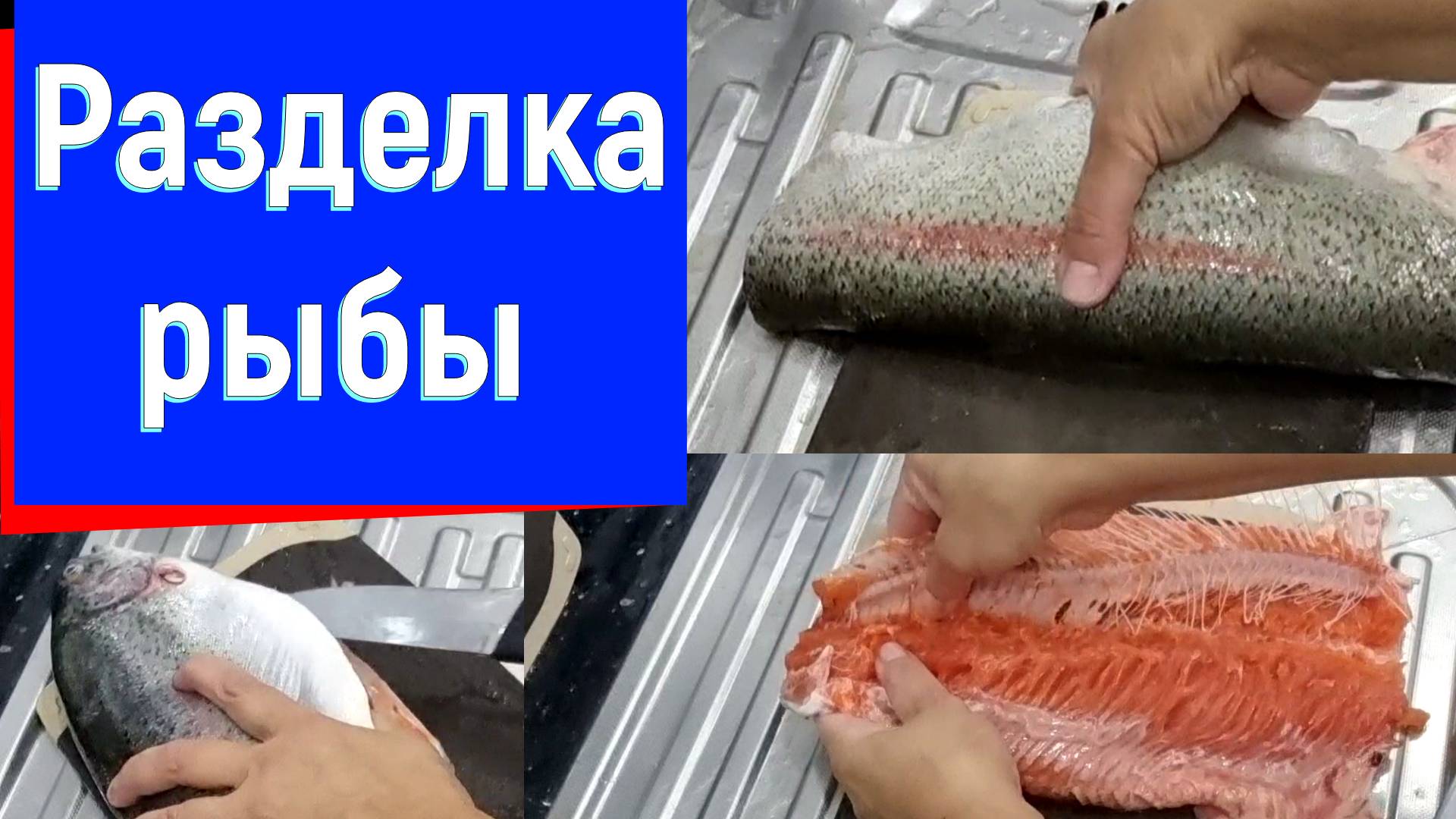 Как я разделала красного турецкого сомона.  ТРИММИНГ. #готовим дома #вкусные рецепты