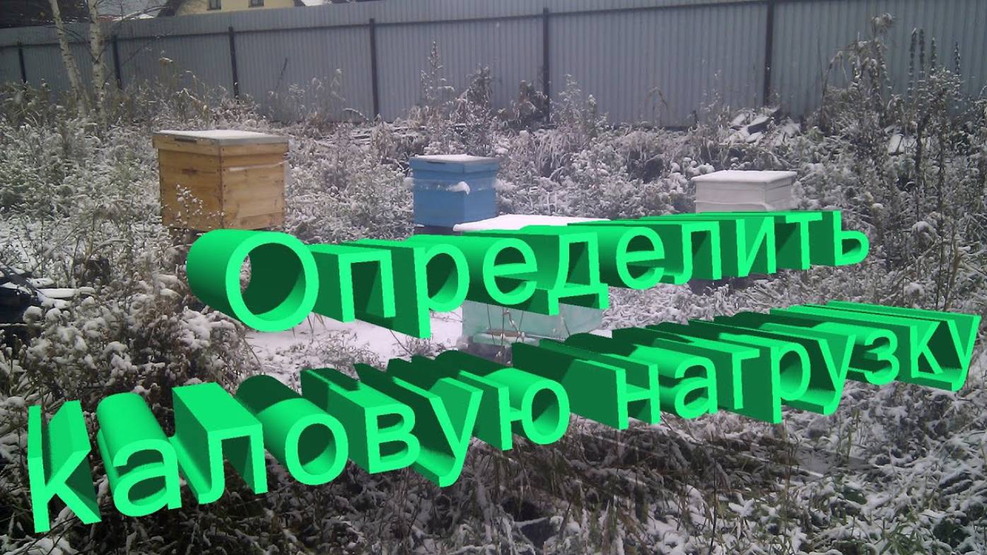 Профессор Кашковский: Как определить каловую нагрузку зимой?