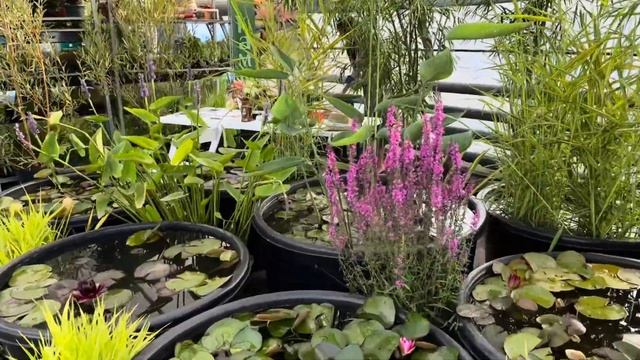 ПРОСТРАНСТВО Веры Седовой на Первой международной выставке АППМ в Агрофирме Поиск