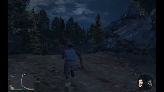 Прохождение Grand Theft Auto V Часть 16 План дела в Палето Хищние