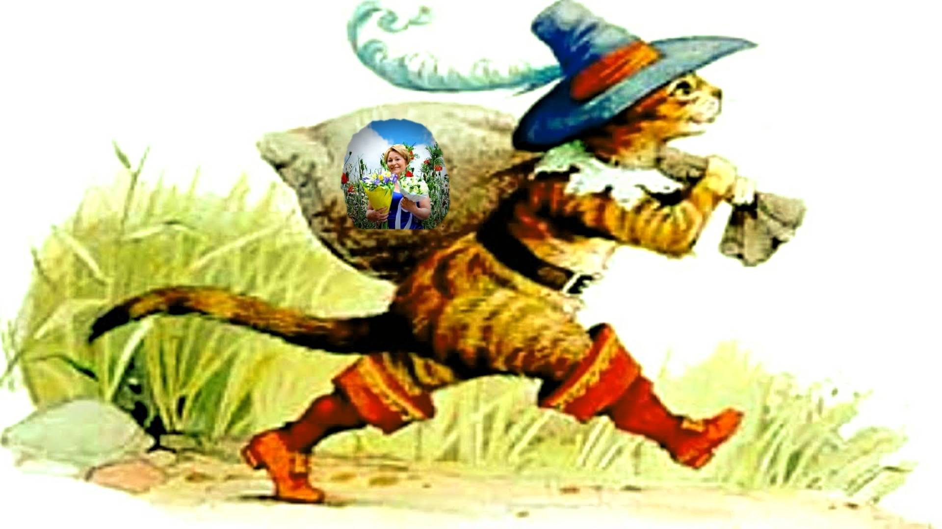 Привет от Кота