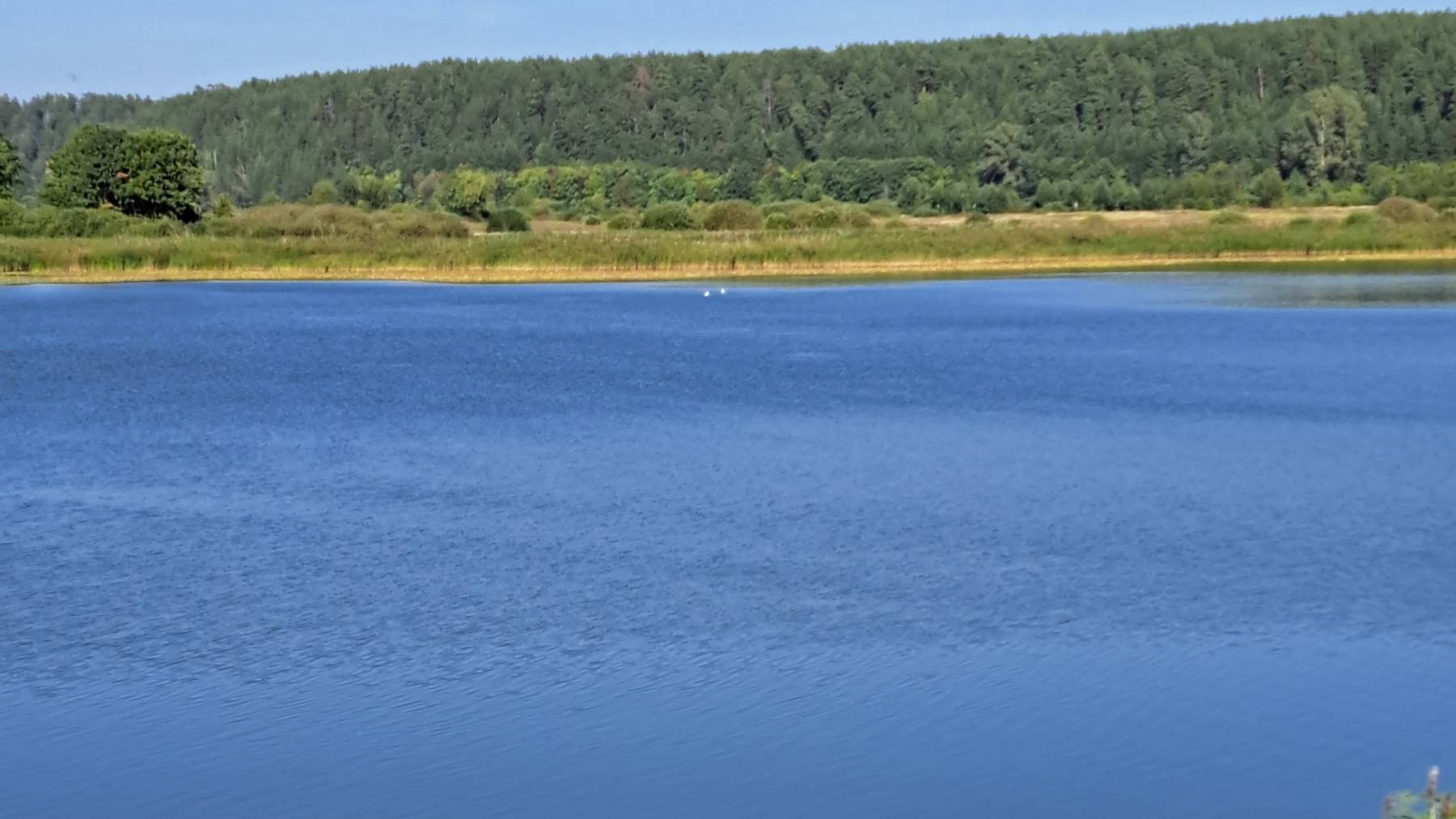 Коллеге РИСу и всем! Осенние зарисовки октябрь 2024 Часть 2