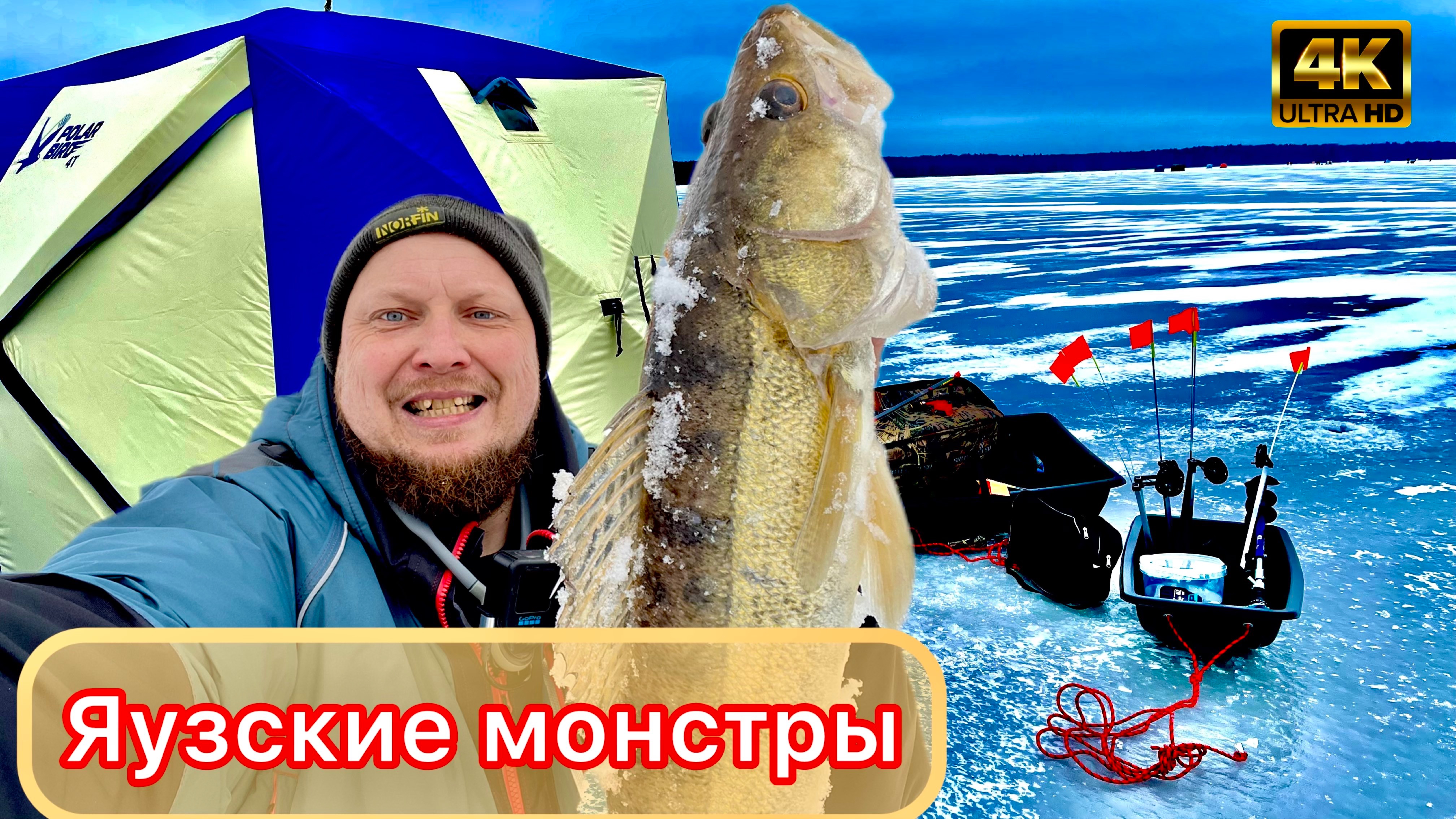 Ночная рыбалка с палаткой на Яузе: Трофейный судак и куча эмоций!