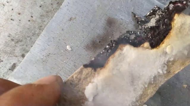 Эксперимент. Полоски фумигации от варроа с щавелькой. Опыт №1 15/10/2020.