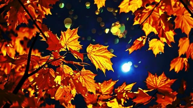 🍁🌟Глубокий исцеляющий сон за 5 минут. Золотая ночь: Танец кленовых листьев под звездным небом🌟🍁