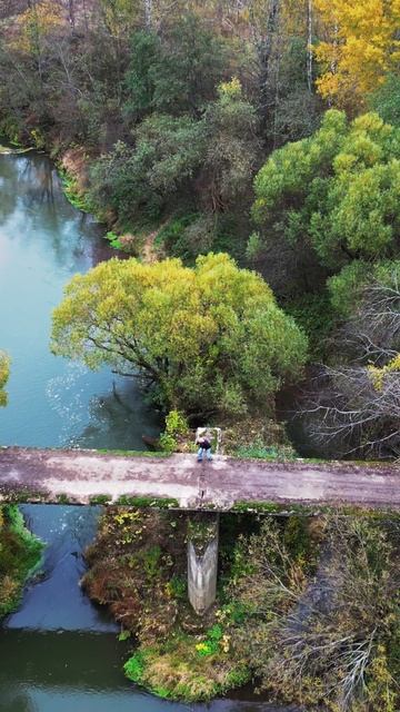 Золотая осень в России. Красота родной природы.