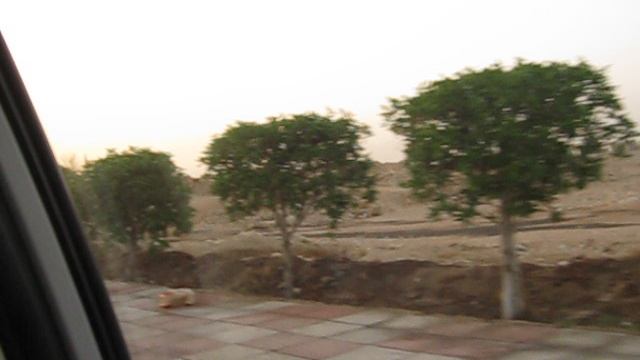 В Египетском такси)